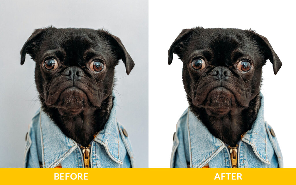 Clipping Path vs. Image Masking: What’s the Difference?